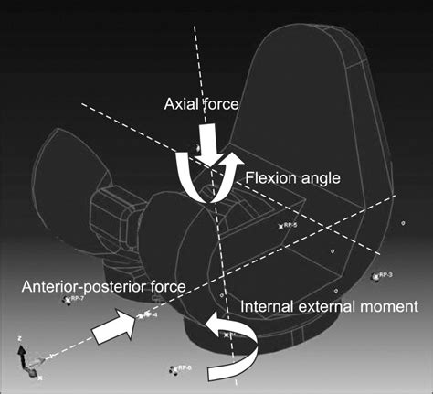 Loading And Boundary Conditions Download Scientific Diagram