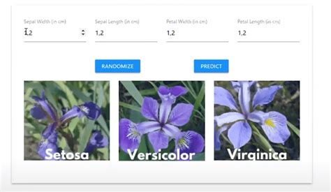 Bentoml Faster Machine Learning Prototype