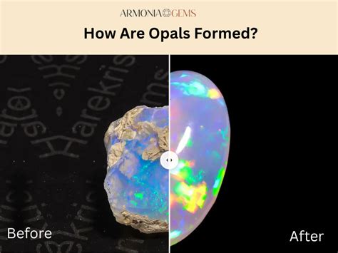 How Are Opals Formed In Nature Process Types And Facts Guide Armonia Gems