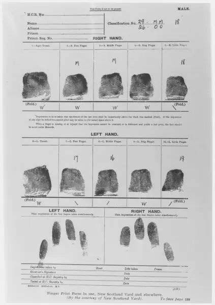 An Image Of Fingerprints On A Sheet Of Paper With The Names And Numbers