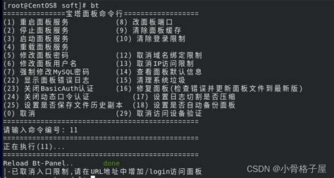 Linux安装宝塔natapp实现内网穿透 linux natapp如何安装 CSDN博客