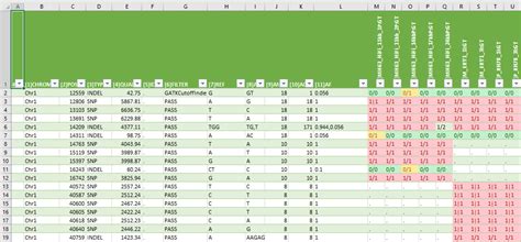 Long Read Sequencing Alignment And Joint Variant Calling · Issue