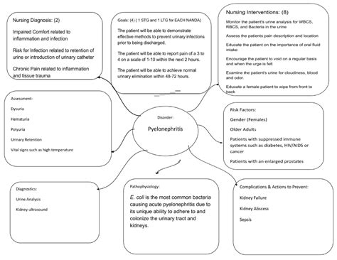 Pyelonephritis Concept Map Nsg 3250 Studocu
