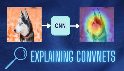how to explain convnet predictions using class activation maps pinecone