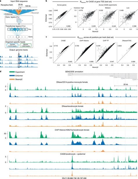 Enformer Improves Gene Expression Prediction In Held Out Genes By Using