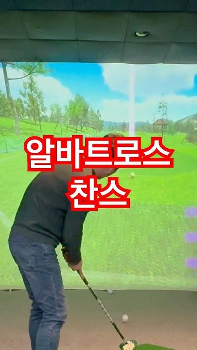 스크린파크골프 알바트로스 성공 마이파크 스크린파크골프 파크골프 Mypark 파크골프스크린 스크린파크골프 마이파크 스크린 파크골프 Youtube