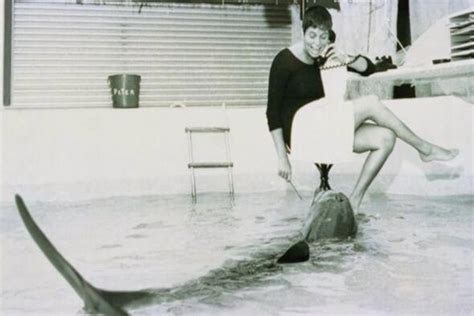 A Bizarre Tale Of How A Dolphin Had Sex With A Girl And Commit Suicide