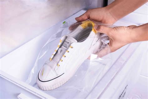 How To Remove Tree Sap Stains From Clothes And Home Fabrics