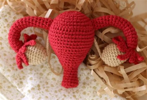 Creating A Cozy Womb Knitting A Uterus Pattern