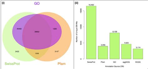 Transcript Annotation Results I Number Of Transcripts Annotated With Download Scientific