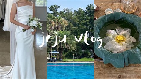 Volg 제주도 현실 웨딩스냅 👰🏻‍♀️과 4박 5일 여행청담지민 아로하데이 고등어회 흑돼지맛집 미친부엌 필연