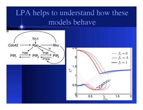 Diffusion Reaction And Biological Pattern Formation Continued 3 Of 3