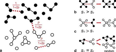 Schematic Illustrations Of The Dynamic Rule Of The Tca Model A There