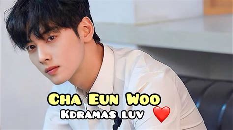 تشا اون وو Cha Eun Woo بطل مسلسل الجمال الحقيقي Youtube