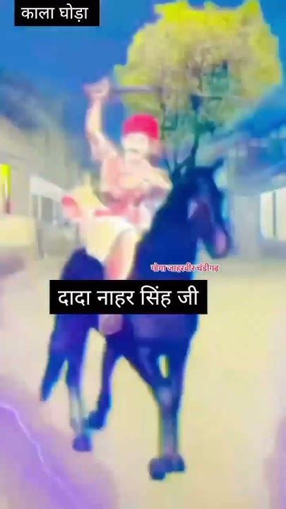 Jai Ho Narsingh Babe Ki 🙏🙏💖🙏 Trending Sorts Instagram Reels Viralvideo Youtube