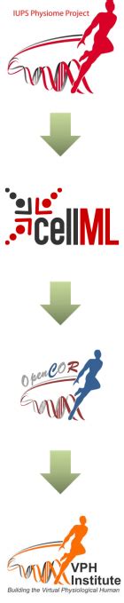 Background To The Vph Physiome Project — Dtp Computational Physiology
