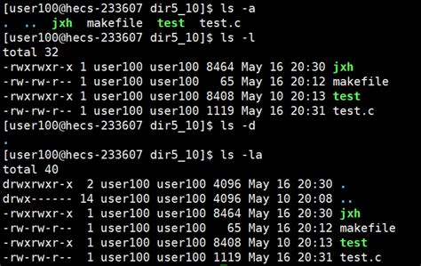 【linux】命令行参数和环境变量linux 运行参数写在哪里 Csdn博客