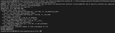 Running Mega Linter Runner Docker Image Locally Without Installing Node