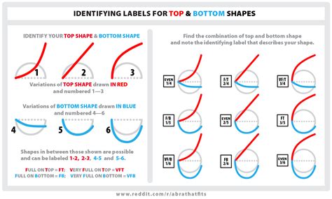 Different Breast Sizes And Shapes Pictures