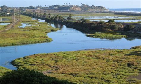 San Elijo Lagoon Ecological Reserve And Nature Center Cardiff Vacations