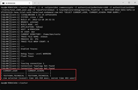 Authenticate To SAP HANA Cloud Using X SAP Tutorials
