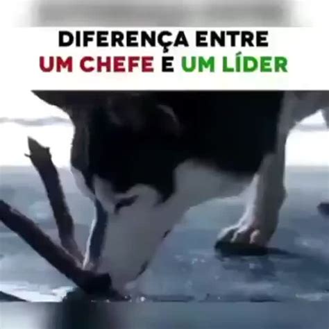 Sidney Rodrigues On Linkedin Líder Cria Oportunidades E Motivações