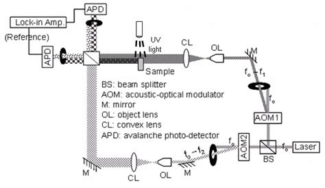 Scheme Of Home Made Common Path Heterodyne Interferometer Download Scientific Diagram