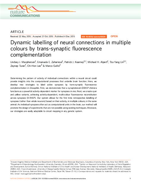 Pdf Dynamic Labelling Of Neural Connections In Multiple Colours By Trans Synaptic Fluorescence