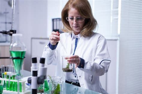 Unlocking The Secrets Of Soil Importance Of Soil Testing Laboratory In UAE