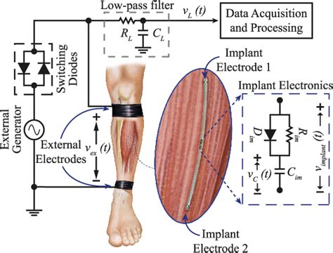 Figure 1 From Injectable Sensors Based On Passive Rectification Of
