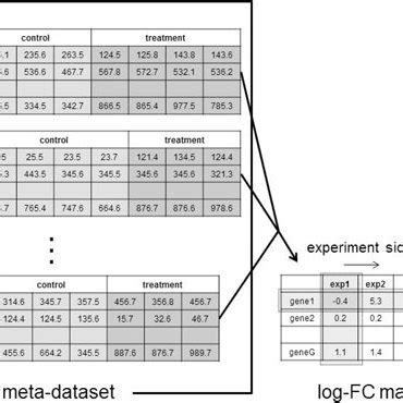 Meta Dataset And Log FC Matrix A Meta Dataset Is A Set Of Multiple