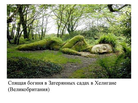 Садово-парковые ландшафты - online presentation