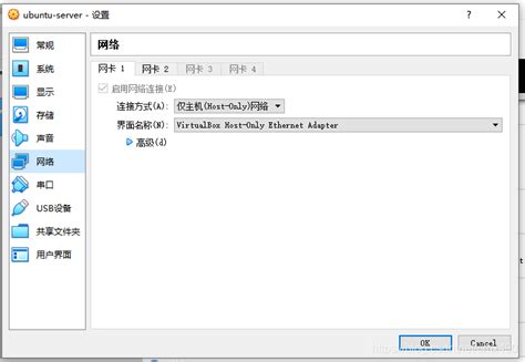 校园网下virtualbox安装虚拟机 实现虚拟机与虚拟机 虚拟机与主机之间互通且访问外网 visualbox 释放ip csdn博客
