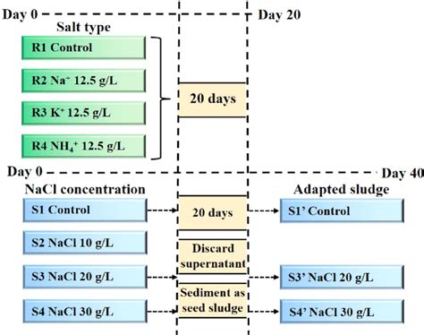 Flowchart Of Batch Experimental Design For Chain Elongation Under Download Scientific Diagram