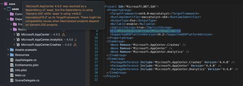 Add Support For Net6 Maccatalyst Project · Issue 1600 · Microsoft