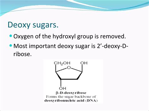 Chemical Properties Of Monosaccharides PPT