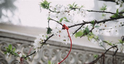 how to reverse a string in python [unlock efficient methods] eml