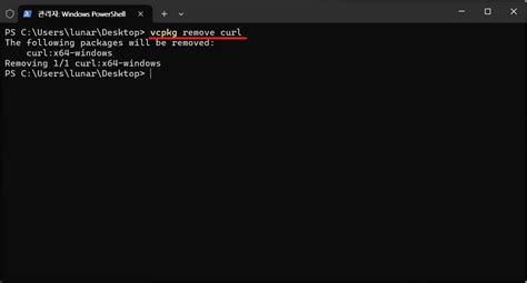Cc Vcpkg 설치 방법 On Windows 11 X64