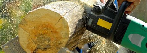 Tree Services Tree Trimming Spokane Chop Chop Tree