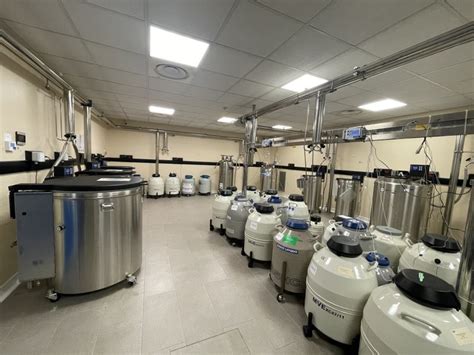 Third Party Storage — English