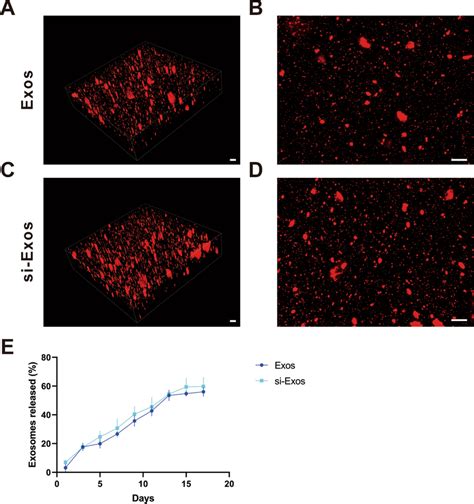 Exosome Retention Ability Of Alginategelma Ipn Hydrogel Ac 3d Image Download Scientific