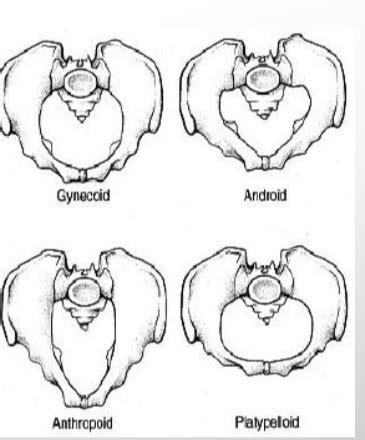 Section Flashcards Quizlet