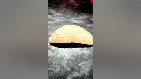 Pitha Design Unique Pitha Design New Pitha Design Pithadesign Pitha Pitharecipe Youtube