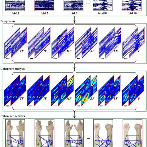 The Paradigm For The Electromyography Emg Recording Download Scientific Diagram