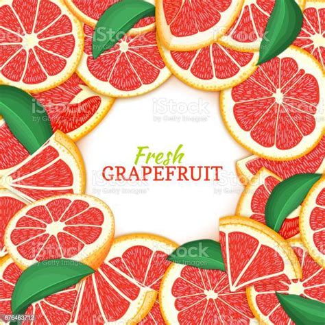 컬러 프레임 라운드 맛 있는 자 몽의 구성 벡터 카드 그림입니다 붉은 포 멜로 식품 포장 주스 아침 화장품 녹차 해독을 위한 다이어트의 디자인에 대 한 신선 하 고 달콤한