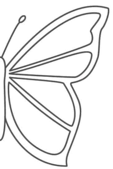 Patrones De Mariposas Para Imprimir