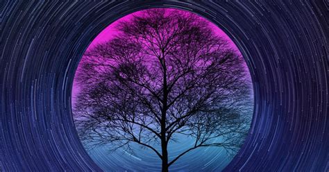 Learn About Distributed Tracing A Powerful Diagnostic Tool And How To Use It Including