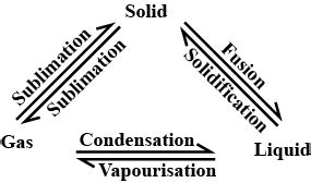 Draw The Diagram Of The Interconversion Of The Three States Of Matter
