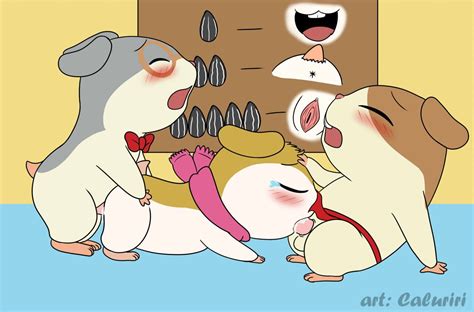 Post 5257277 Caluriri Dexter Hamtaro Howdy Pashmina