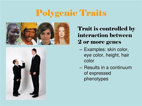 Ppt Complex Patterns Of Inheritance Powerpoint Presentation Free